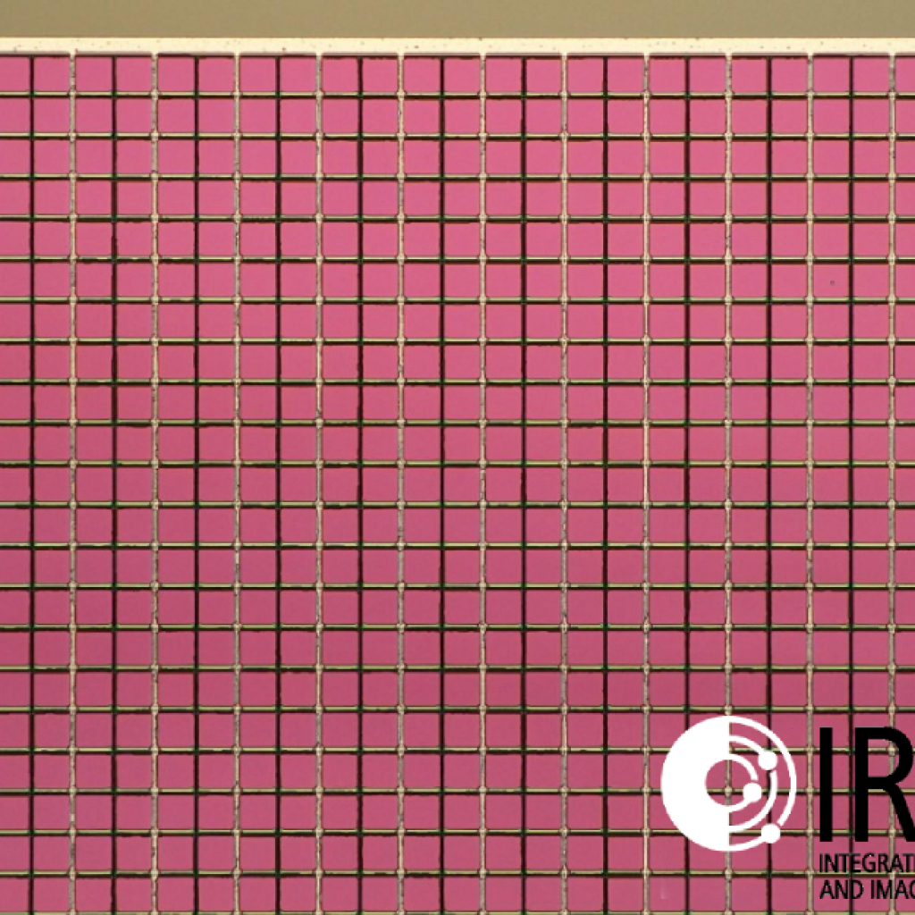 IRIS – Integrated Readout ASICs and Image Sensors - FBK: SD