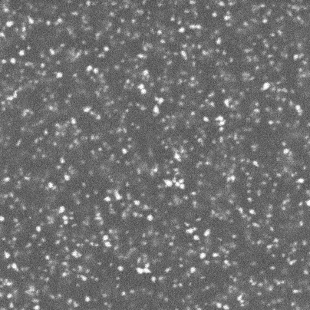 Artistic research through the lens of science - FBK: SD