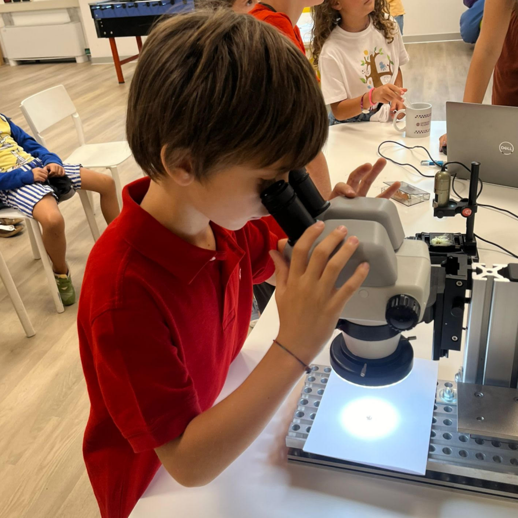 Young explorers of the Wonders of Science - FBK: SD